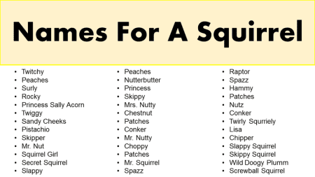 Dirty Names Ideas That Will Make Anyone Laugh