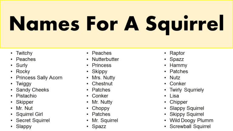 Dirty Names Ideas That Will Make Anyone Laugh