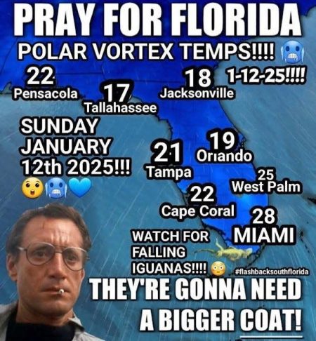 Florida Memes: The Funniest Posts from the Sunshine State