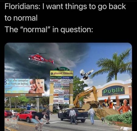 Florida Memes: The Funniest Posts from the Sunshine State